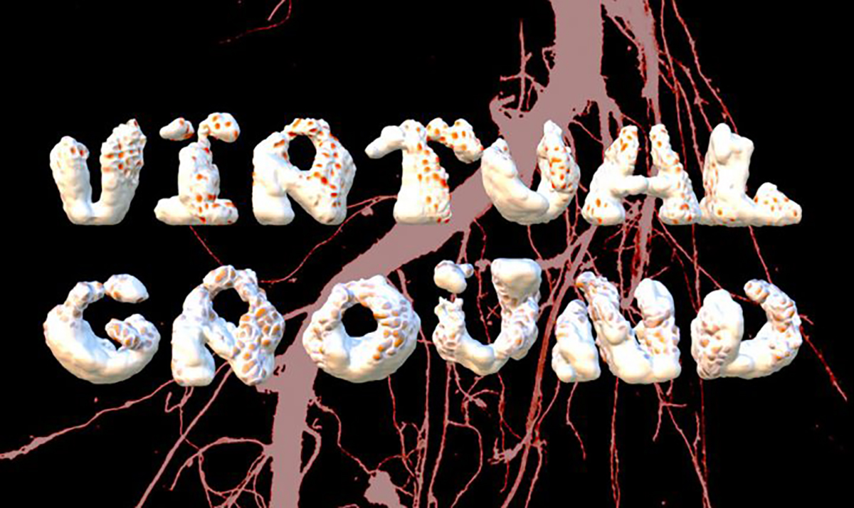 Virtual Ground (2021) – MA Art and Science